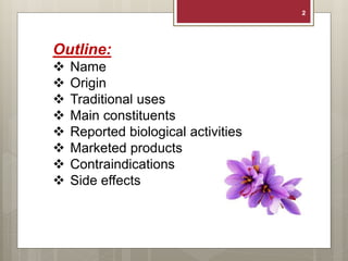Saffron | PPTX