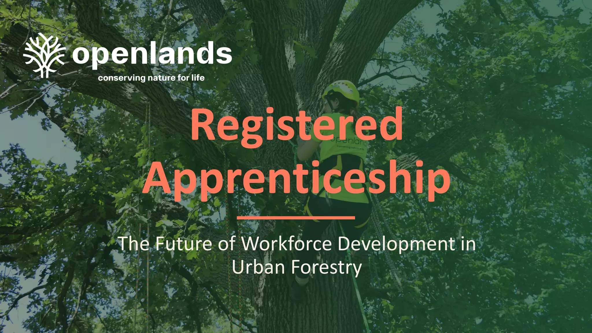 Registered Apprenticeship: The Future of Workforce Development in Urban Forestry | PDF