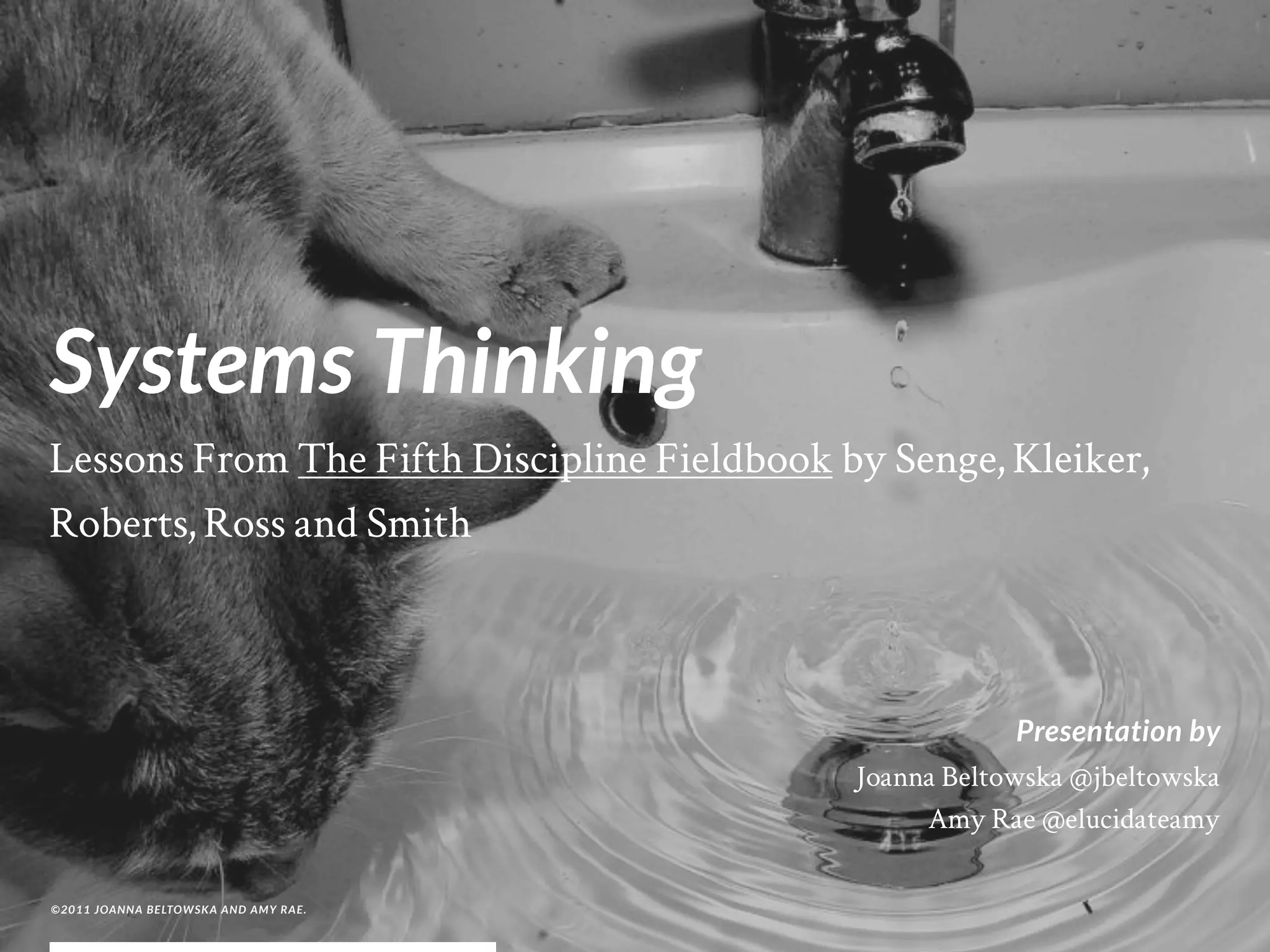 SYSTEMS THINKING: Lessons From The Fifth Discipline Fieldbook by Senge ...