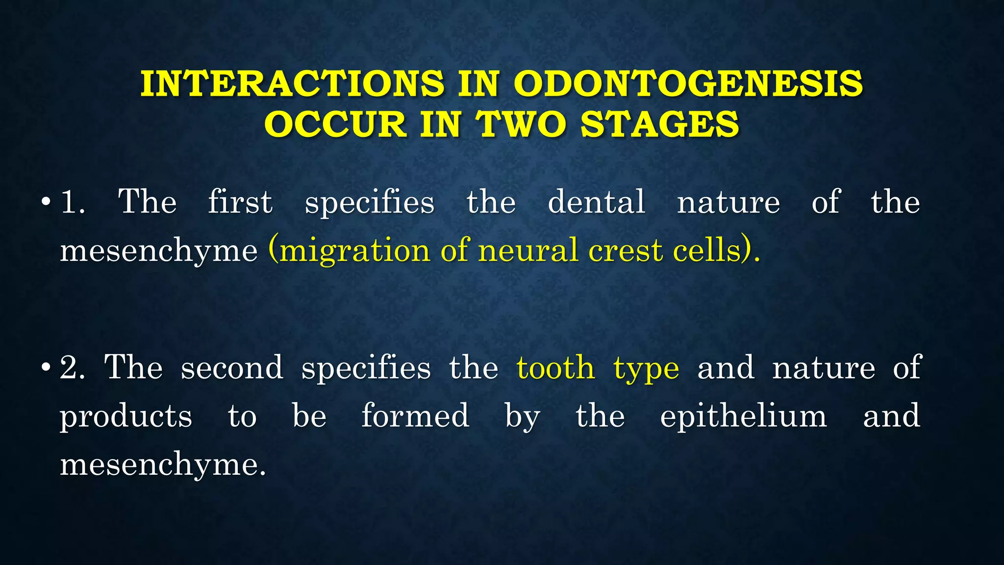 epithelial mesenchymal interaction in odontogenesis | PPTX
