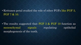 epithelial mesenchymal interaction in odontogenesis | PPTX