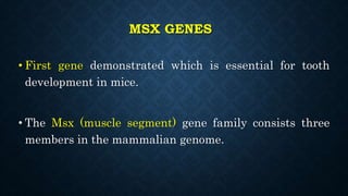 epithelial mesenchymal interaction in odontogenesis | PPTX