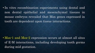 epithelial mesenchymal interaction in odontogenesis | PPTX