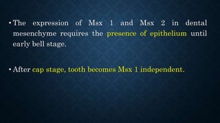 epithelial mesenchymal interaction in odontogenesis | PPTX