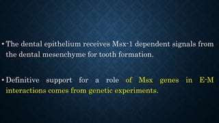 epithelial mesenchymal interaction in odontogenesis | PPTX