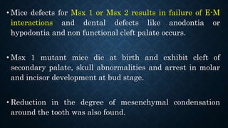 epithelial mesenchymal interaction in odontogenesis | PPTX