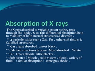 Radiology 5th year, all lectures/introduction (Dr. Abeer) | PPTX