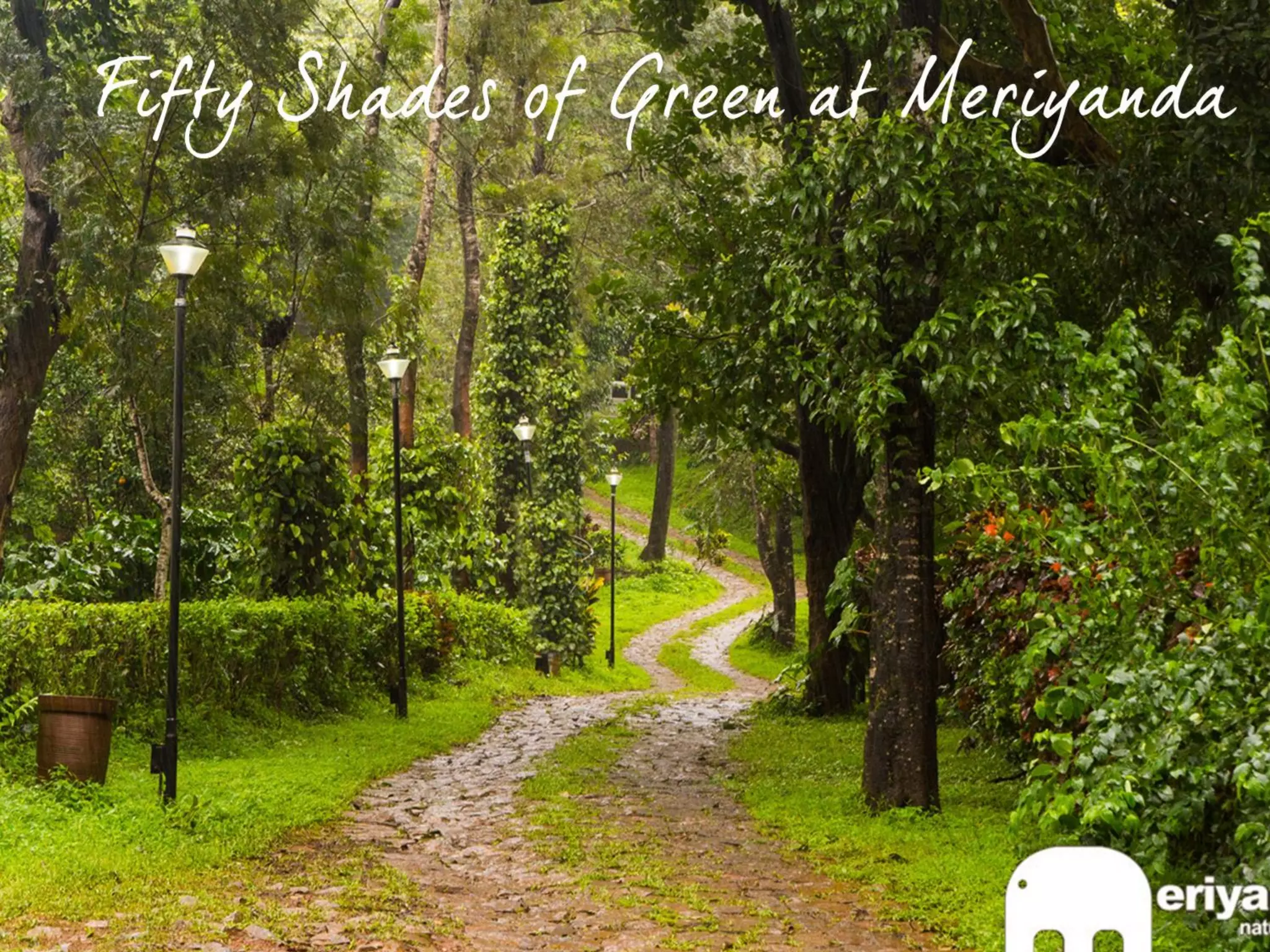 Fifty shades of Green at Meriyanda Nature Lodge - Coorg, A boutique ...