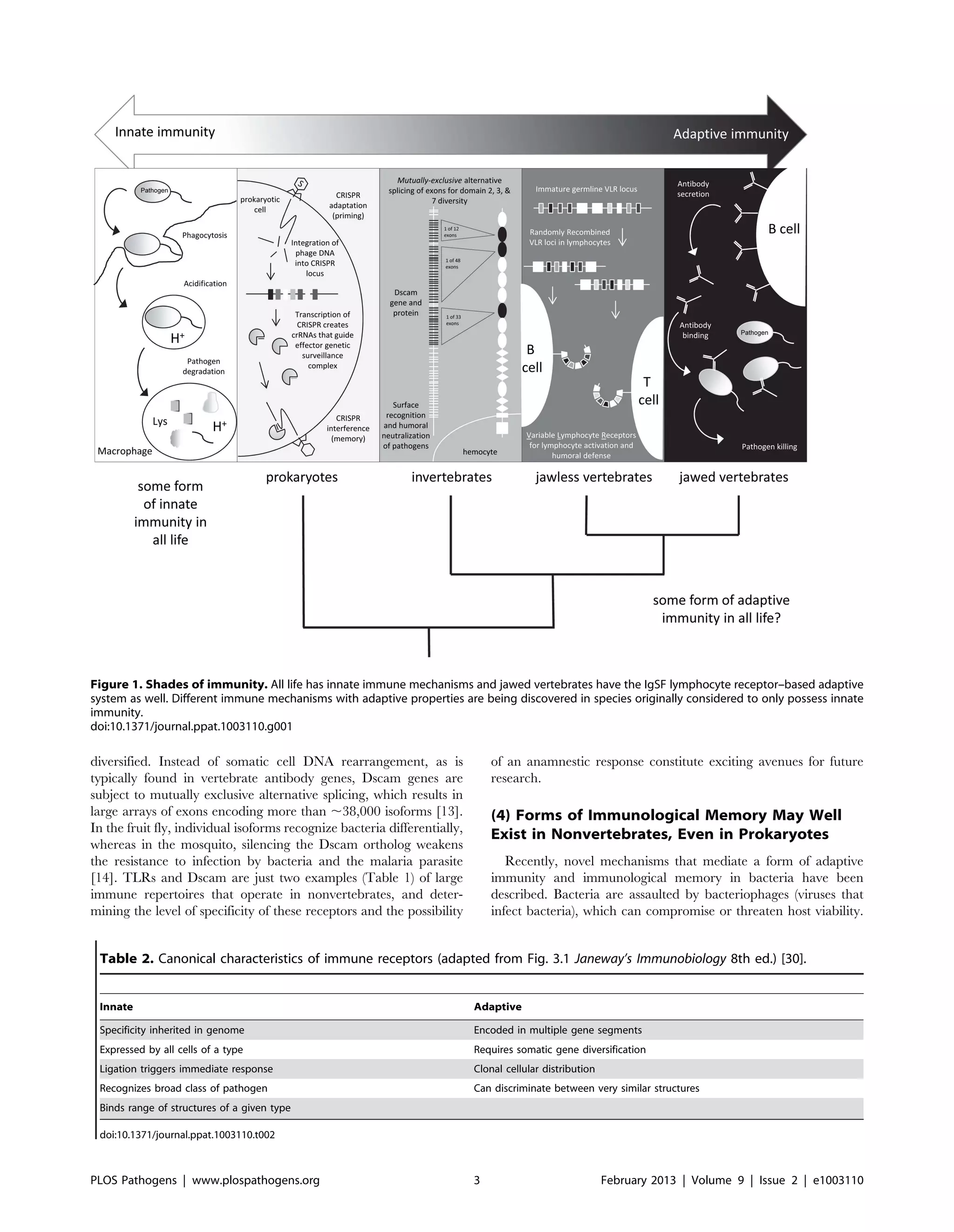 Fifty shades of immune defense | PDF