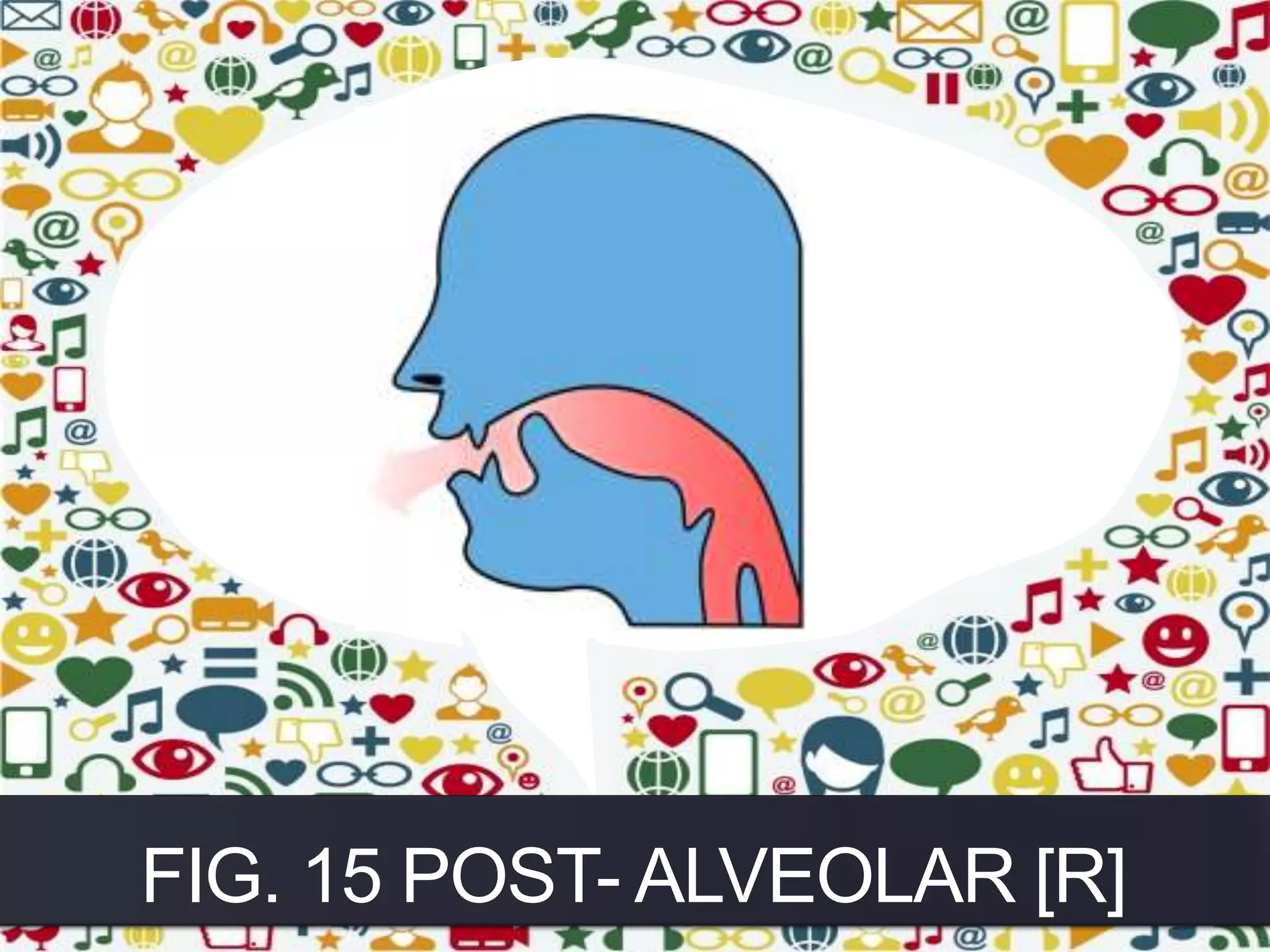 Figure 15 Post Alveolar [r] | PPTX
