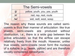 Figure 15 Post Alveolar [r] | PPTX
