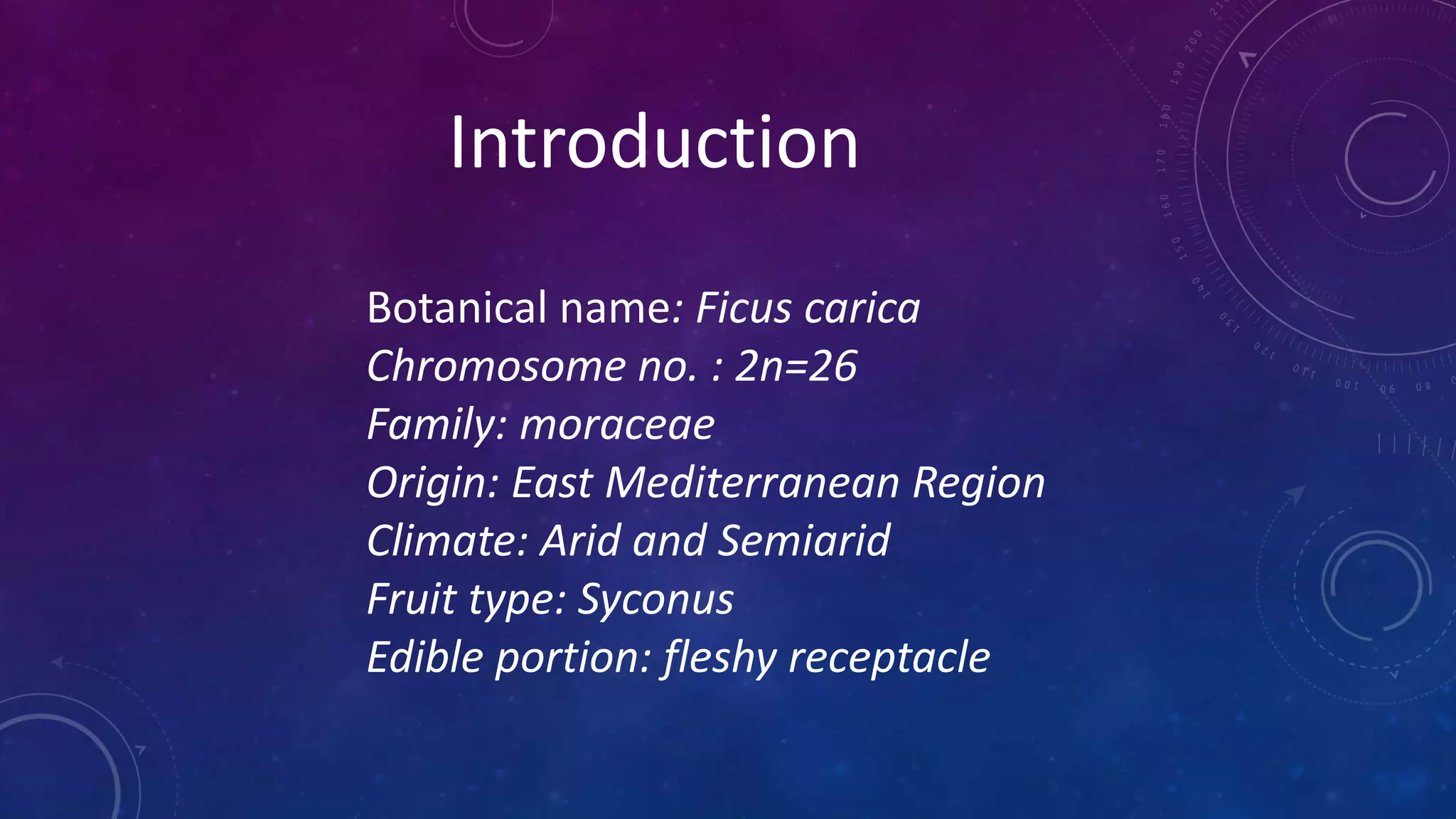 Fig cultivation | PPTX