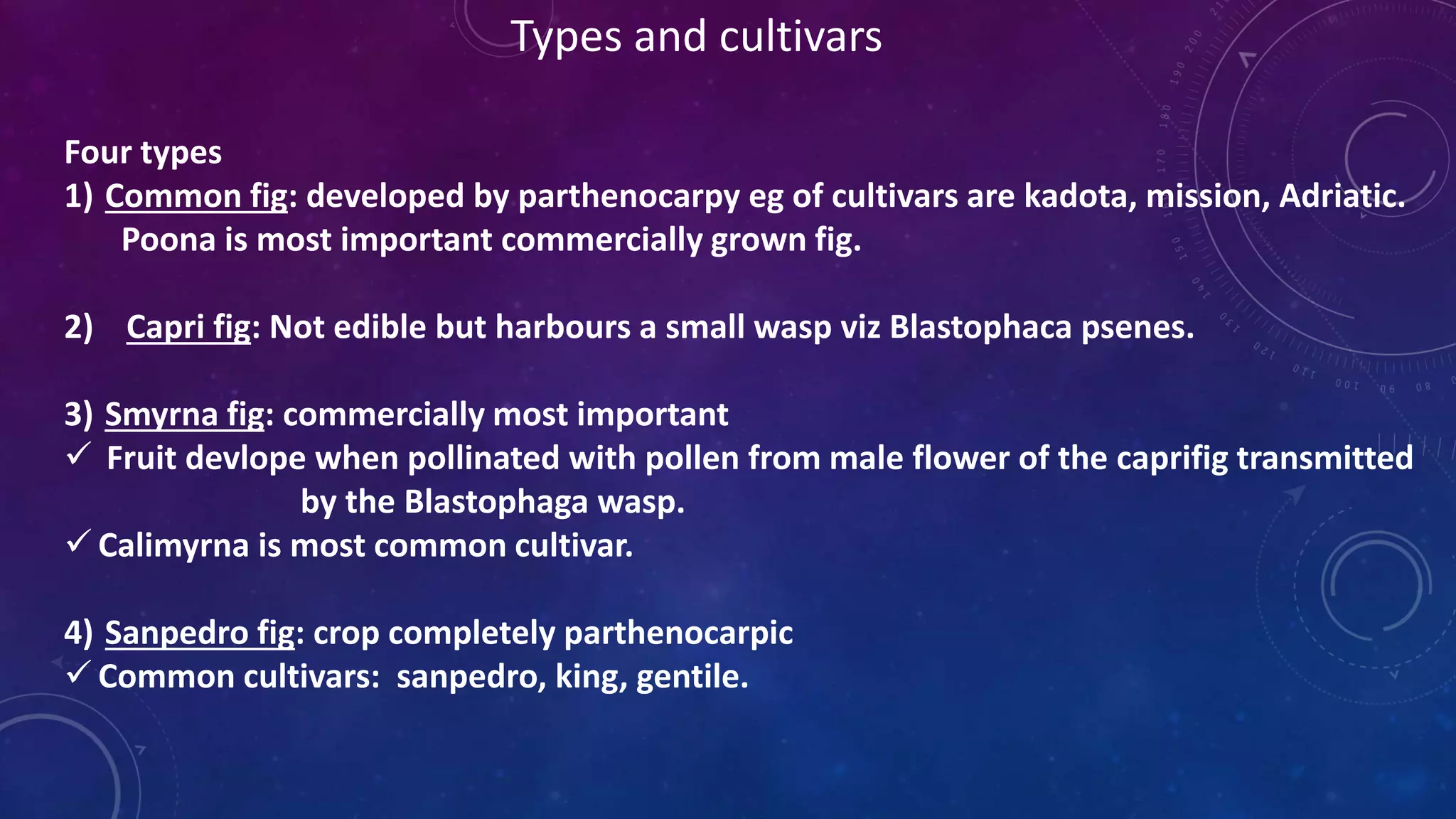 Fig cultivation | PPTX