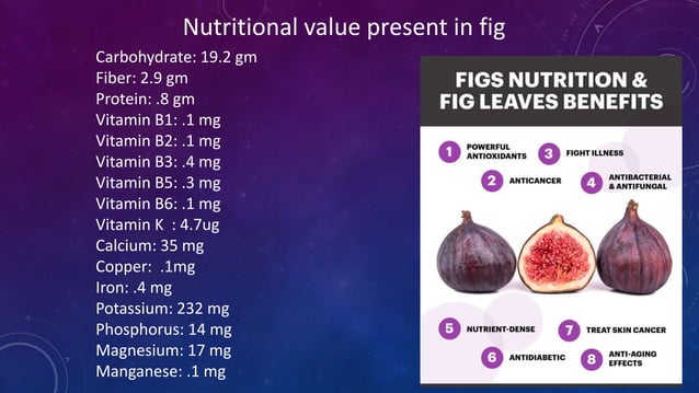 Fig cultivation | PPTX