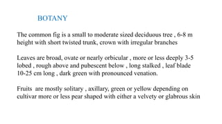 FIG fruit crops- types and differences in the botanical types | PPTX