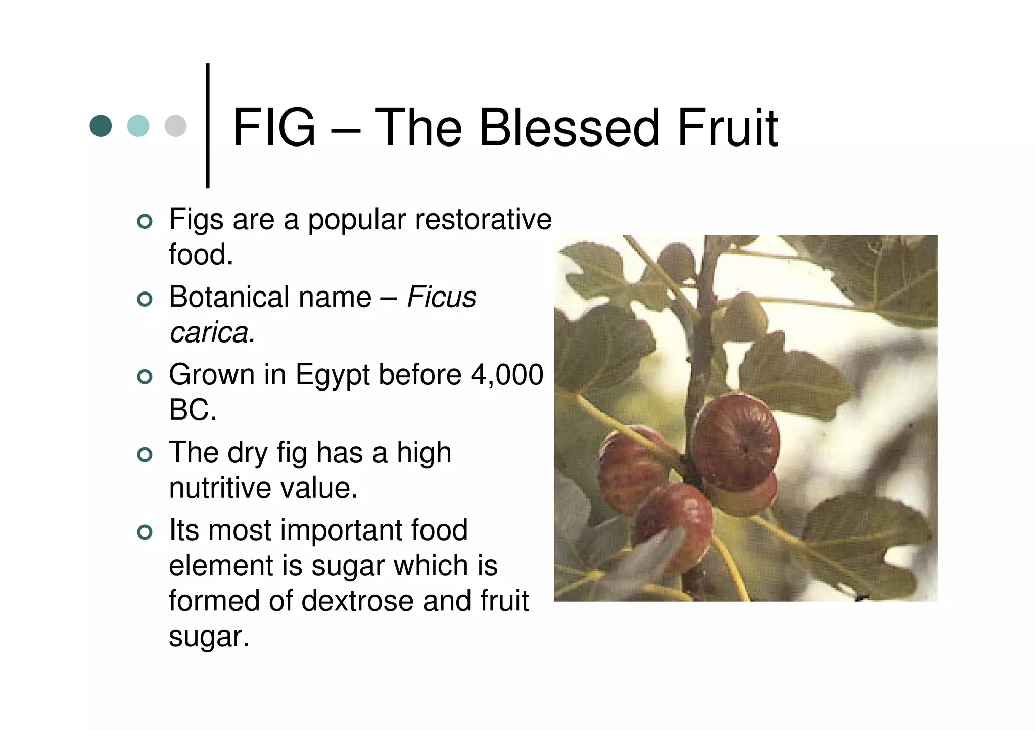 Fig - The Blessed Fruit | PDF