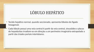 FIGADO e vias biliares - anatomia - segmentação.pptx