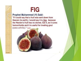 Fig a heaven fruit Desi totkay book A Presentation by Mr Allah Dad Khan ...