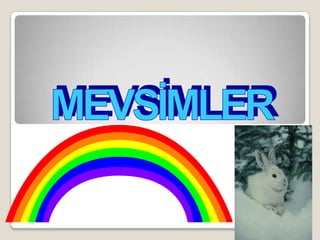 Figen mesimlersunusu | PPT