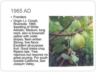 Fig history in world A Research Report By Mr Allah Dad Khan | PPTX