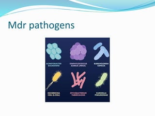 Fight antibiotic resistance it’s in your hands | PPTX