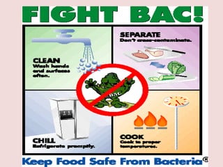 Fight bacteria | PPT