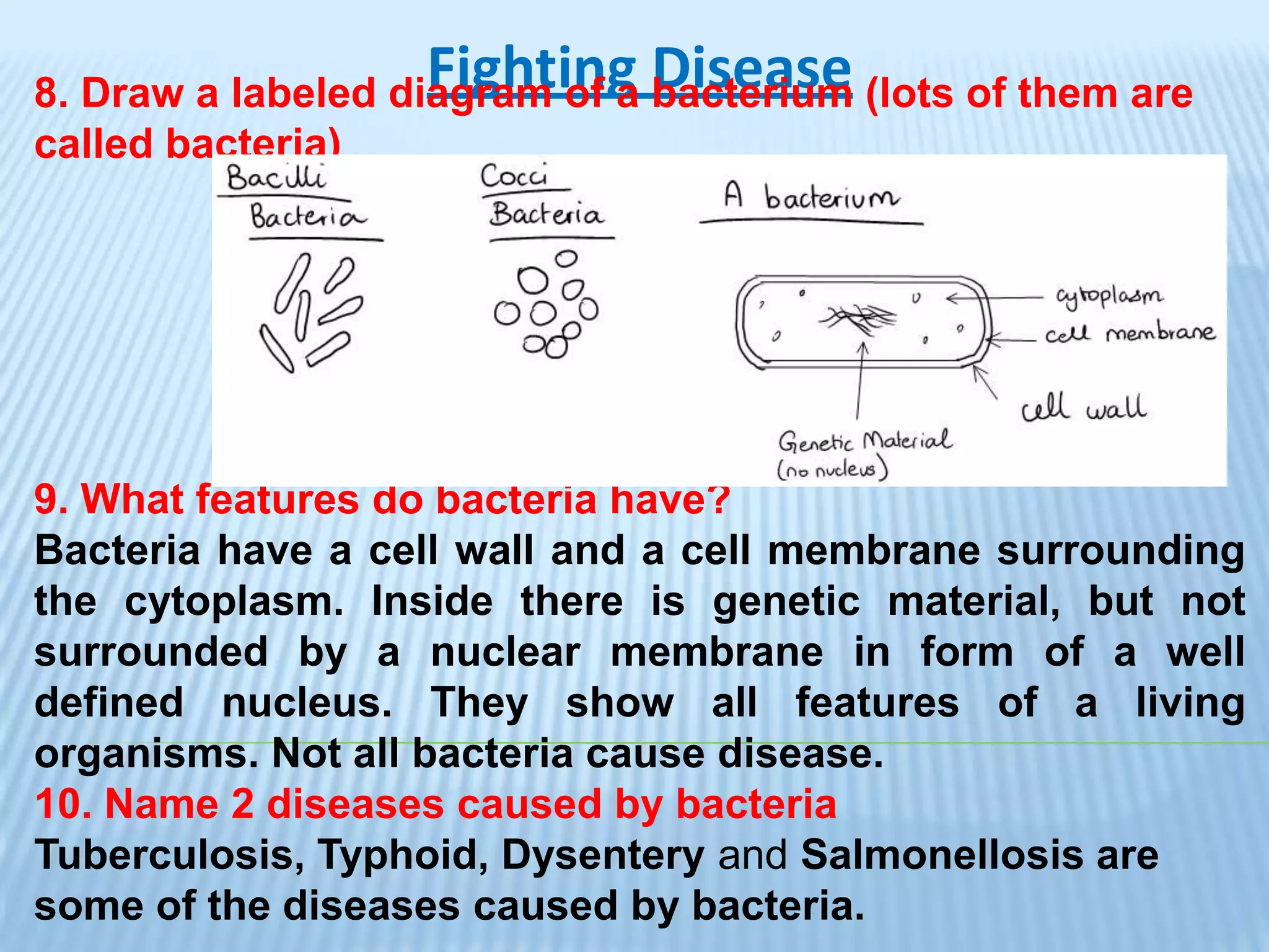 Fighting Disease Final | PPTX | Infectious Diseases | Diseases and Conditions