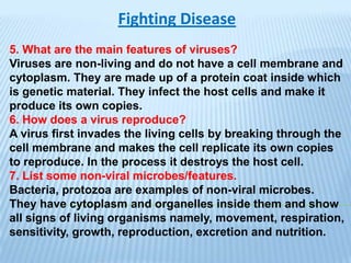 Fighting Disease Final | PPTX | Infectious Diseases | Diseases and ...