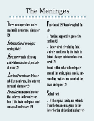 Flight or flee artifact | PDF | Death, Injury, or Military Conflict ...