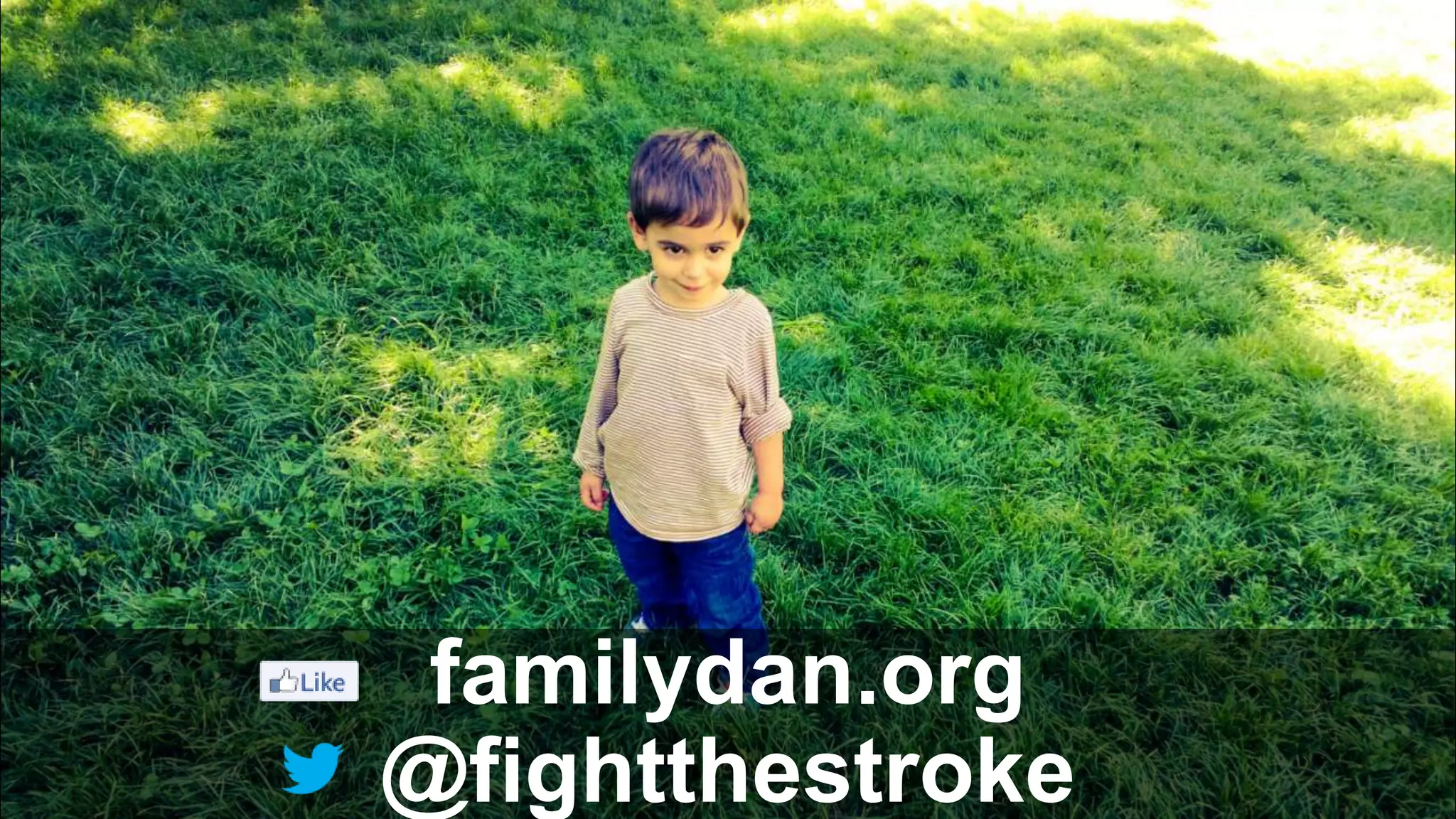 Fight the stroke @ tedglobal2013 | PPT
