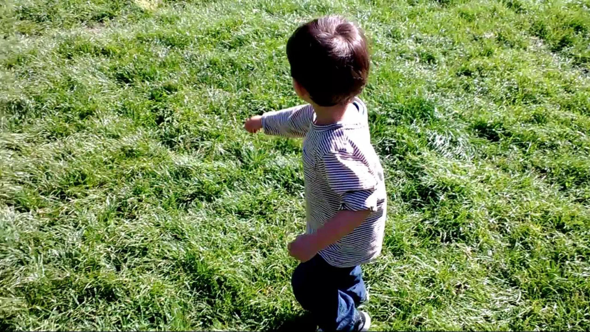 Fight the stroke @ tedglobal2013 | PPTX