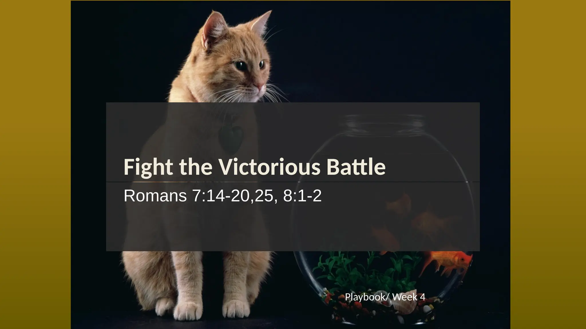 Fight the victorious battle Romans 7.pptx