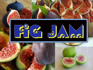 Fig jam | PPTX