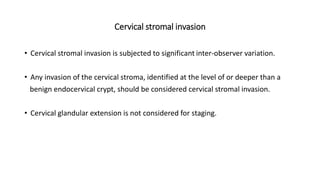 FIGO staging of endometrial cancer 2023.ppt