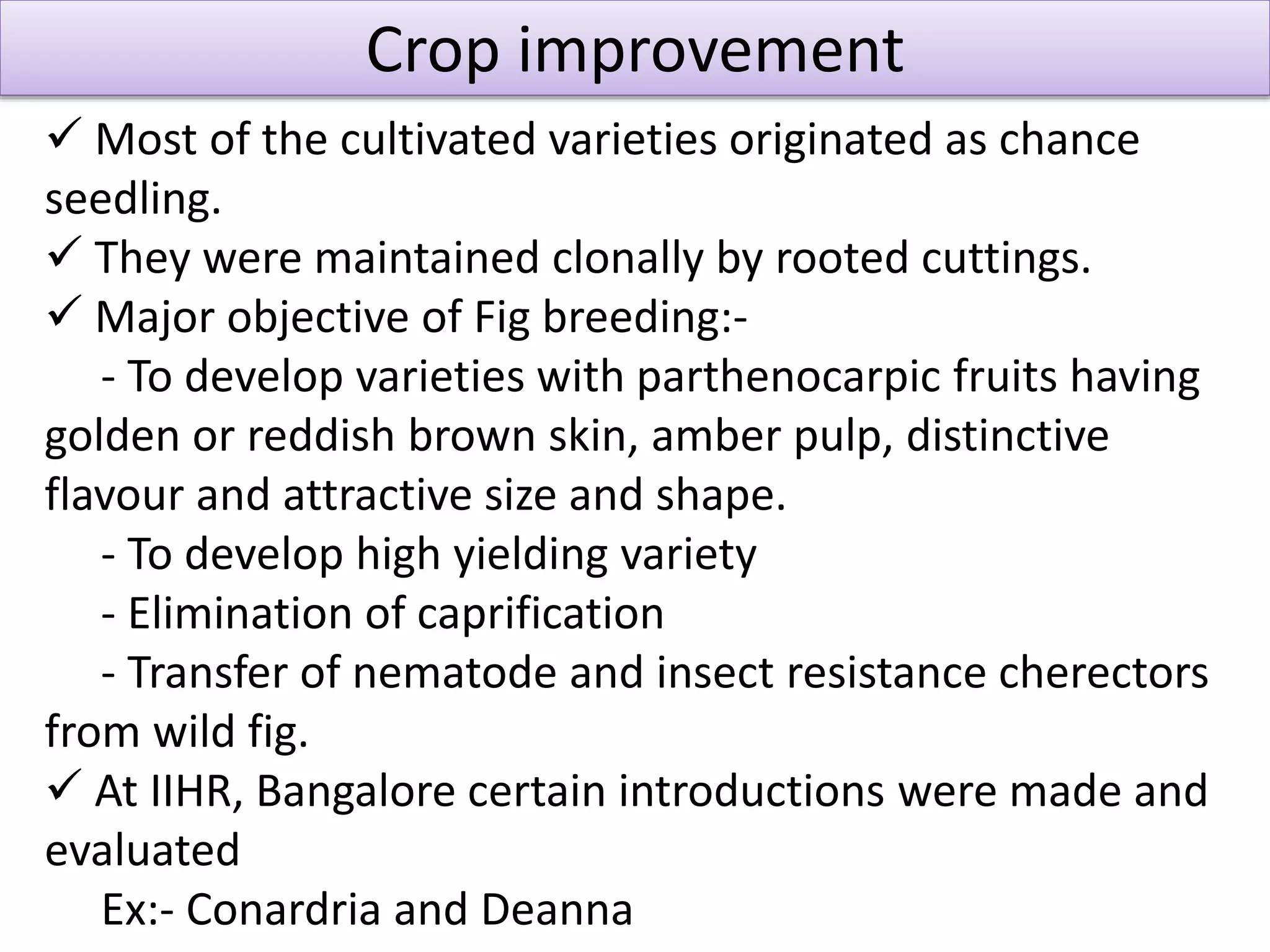 cultivation of fig | PPTX