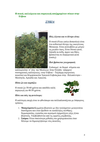 Τα Σύκα στην Εύβοια | PDF