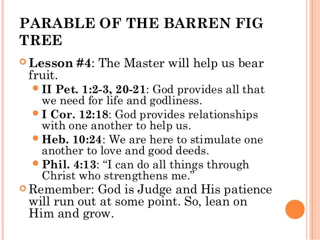 The Fig Tree Parable Explained