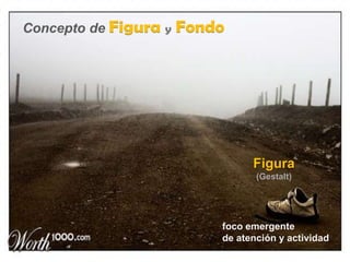 Figura_Fondo y Polaridades | PPTX