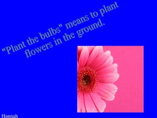 Figurative language | PPT