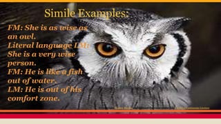 Figurative language 3 | PPTX