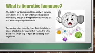 Figurative language interactive study guide | PPTX