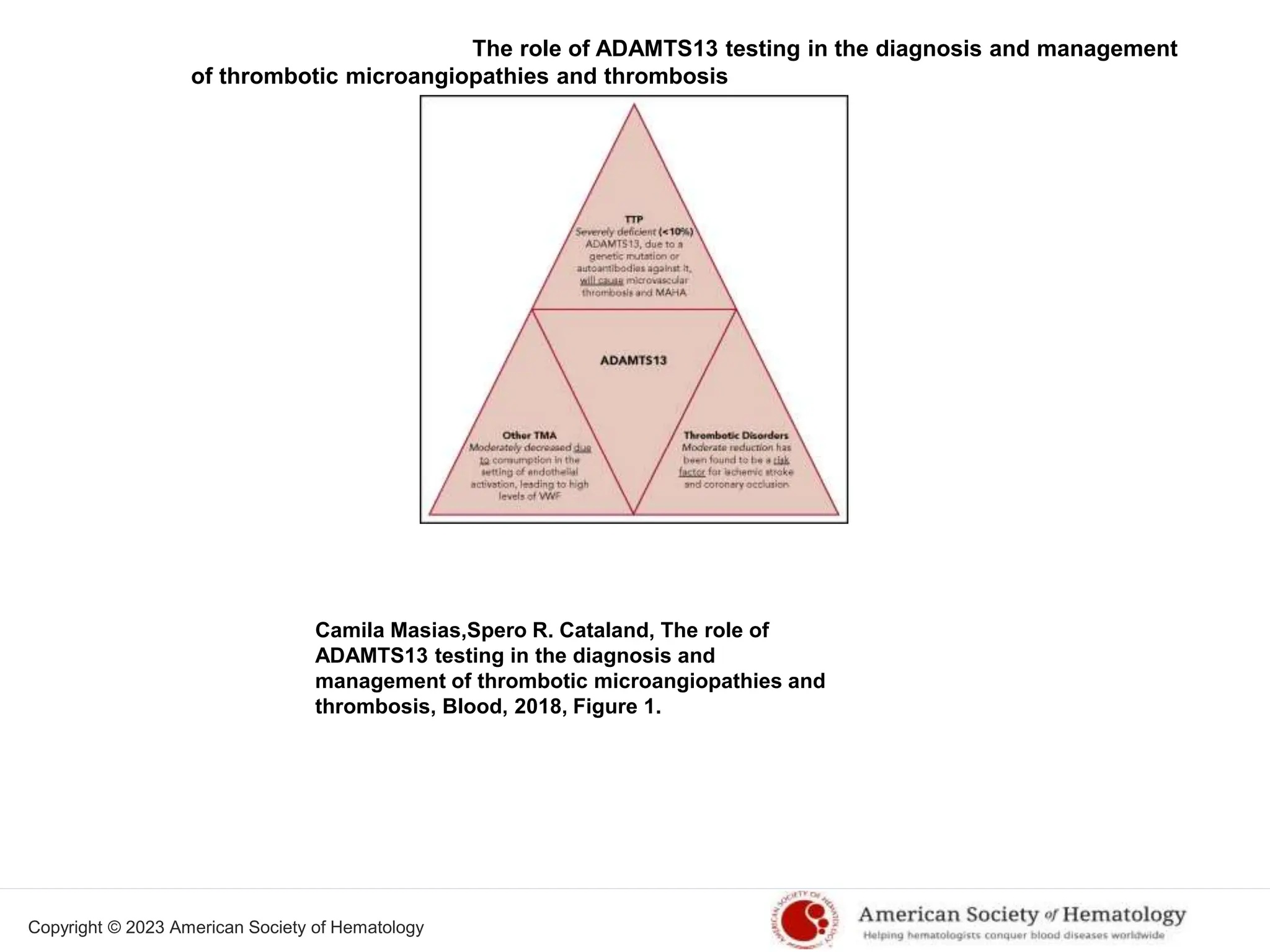 Figure.ppt | Blood Disorders | Diseases and Conditions