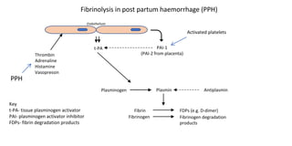 Figure 1.pptx-1.pptx-1.pptxhjjkooouhhkku | PPTX | Genetics | Science