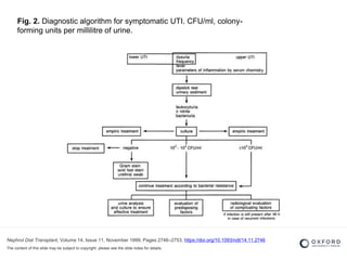 Diagnosis of UTI - up to date content 2024 | PPTX