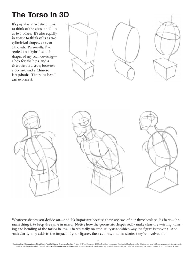 Figure Drawing Basics | PDF