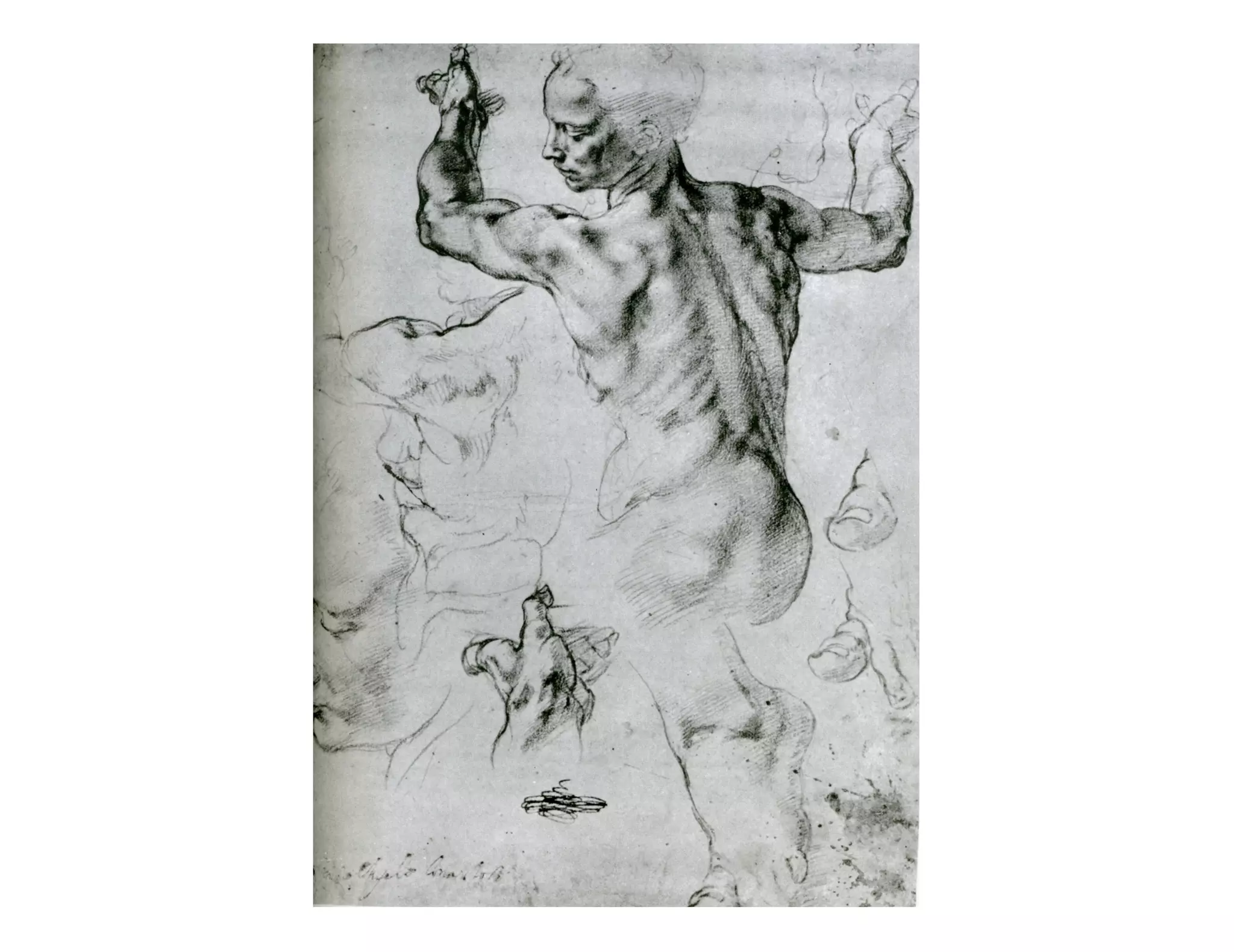 Figure Drawing Examples | PDF