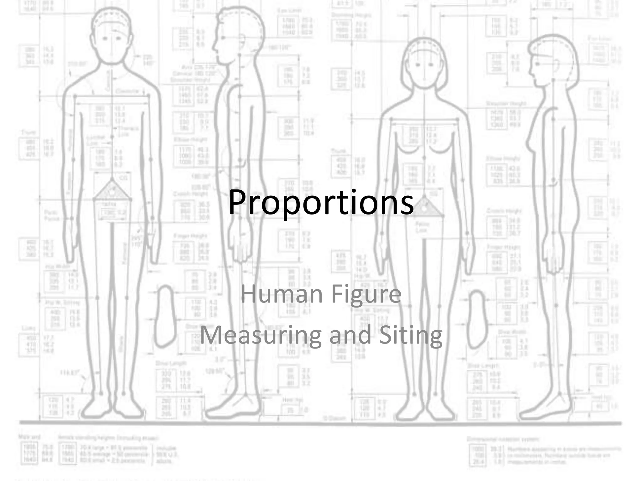Proportions of the Figure | PPTX