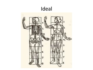 Proportions of the Figure | PPTX