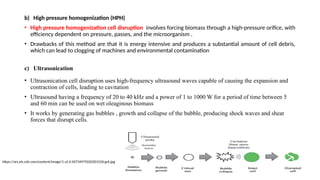 oils from microbes( yeast, fungi, bacteria and algae) | PPTX