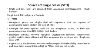 oils from microbes( yeast, fungi, bacteria and algae) | PPTX